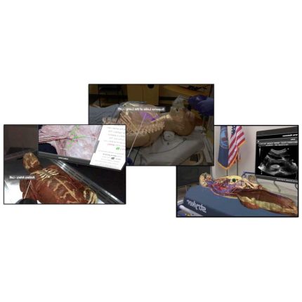 Durable Anatomy Simulation Module Sale or Rent Near Me – Goldstar ...
