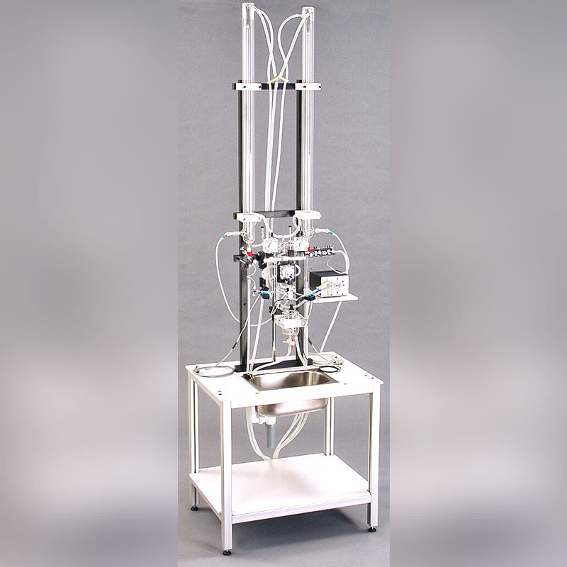 Durable Neurology Anatomical Model Sale or Rent Near Me – Goldstar ...