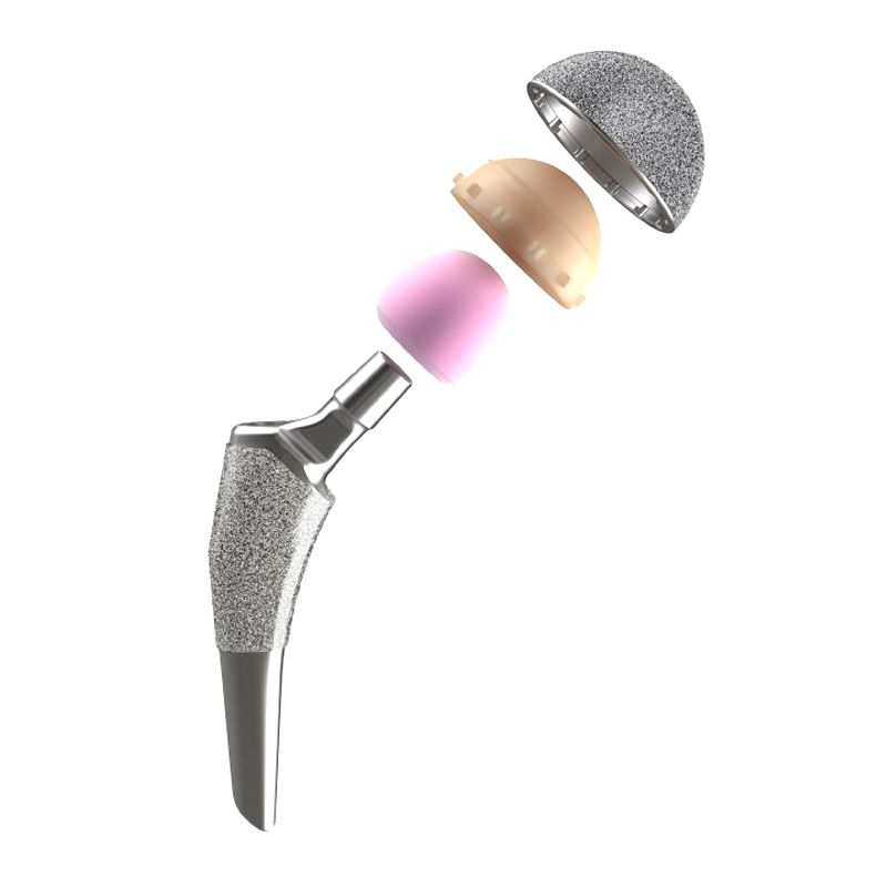 Durable Cementless Acetabular Prosthesis Sale or Rent Near Me ...