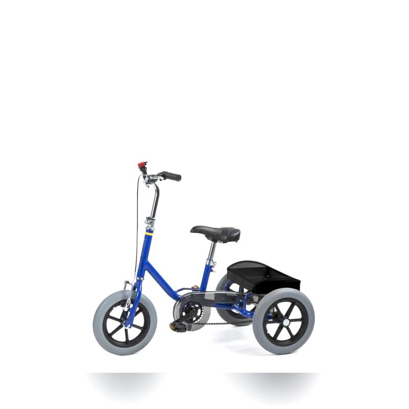 Durable Children Adaptative Tricycle Sale or Rent Near Me – Goldstar ...