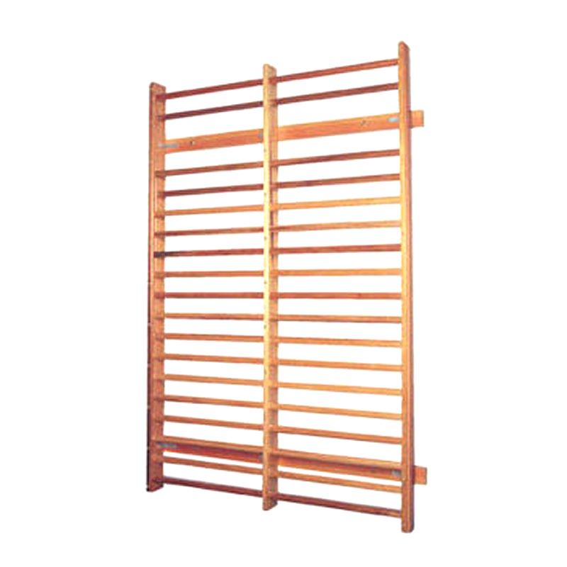 Durable Double Rehabilitation Wall Bars Sale or Rent Near Me – Goldstar ...
