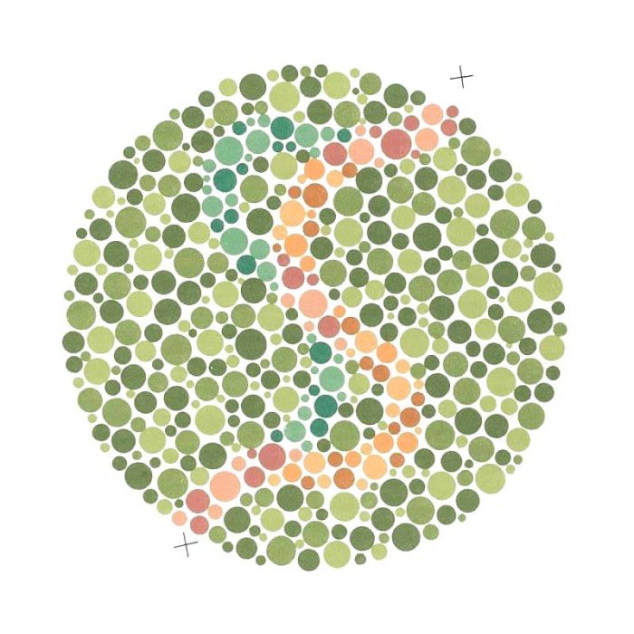 Durable Ishihara Test Book Sale or Rent Near Me – Goldstar Medical ...