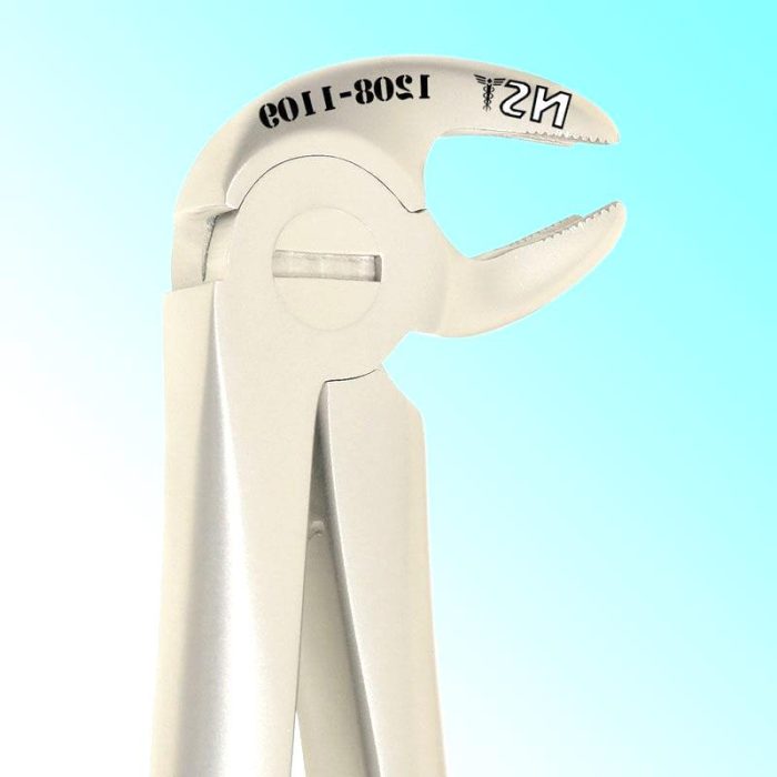 Lower Molar Dental Extraction Forceps – Goldstar Medical Equipment