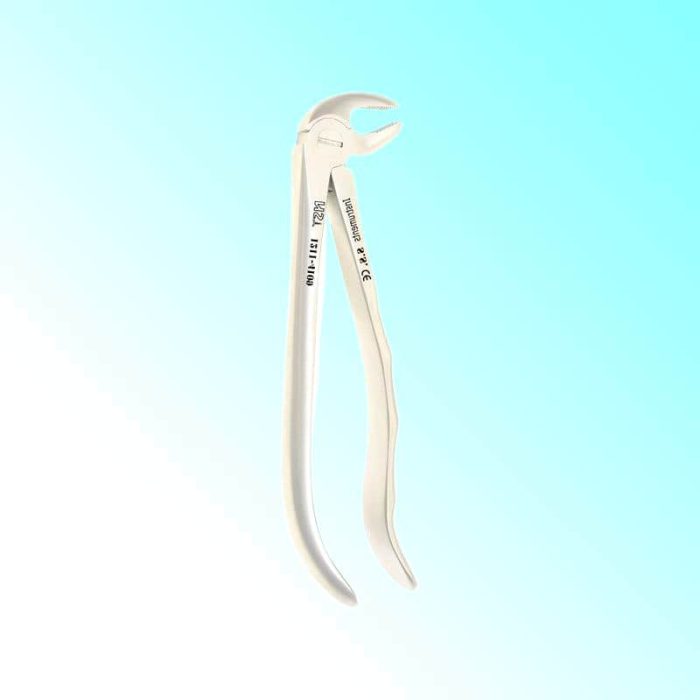 Lower Molar Dental Extraction Forceps – Goldstar Medical Equipment
