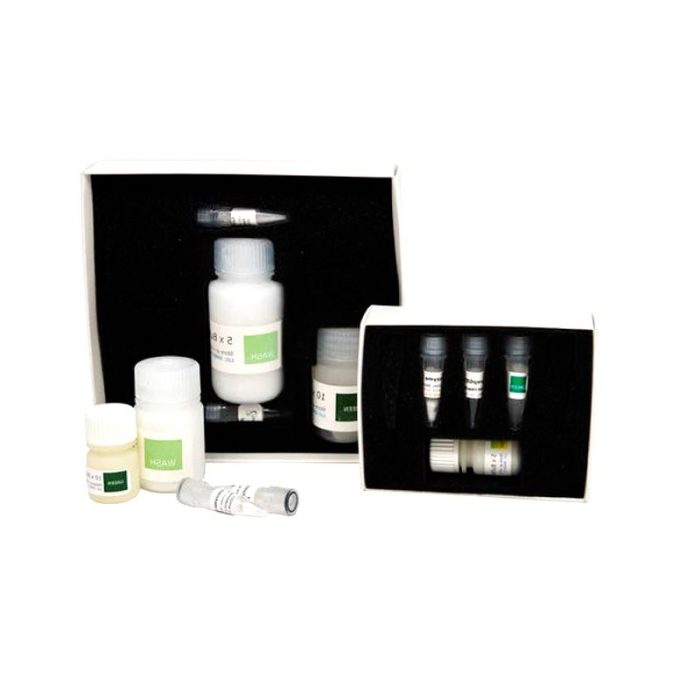 Durable Lysozyme Reagent Kit Sale or Rent Near Me – Goldstar Medical ...