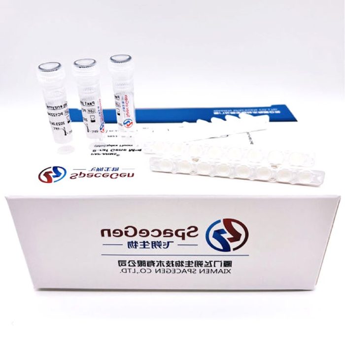 Durable Pcr Reagent Kit Sale or Rent Near Me – Goldstar Medical ...