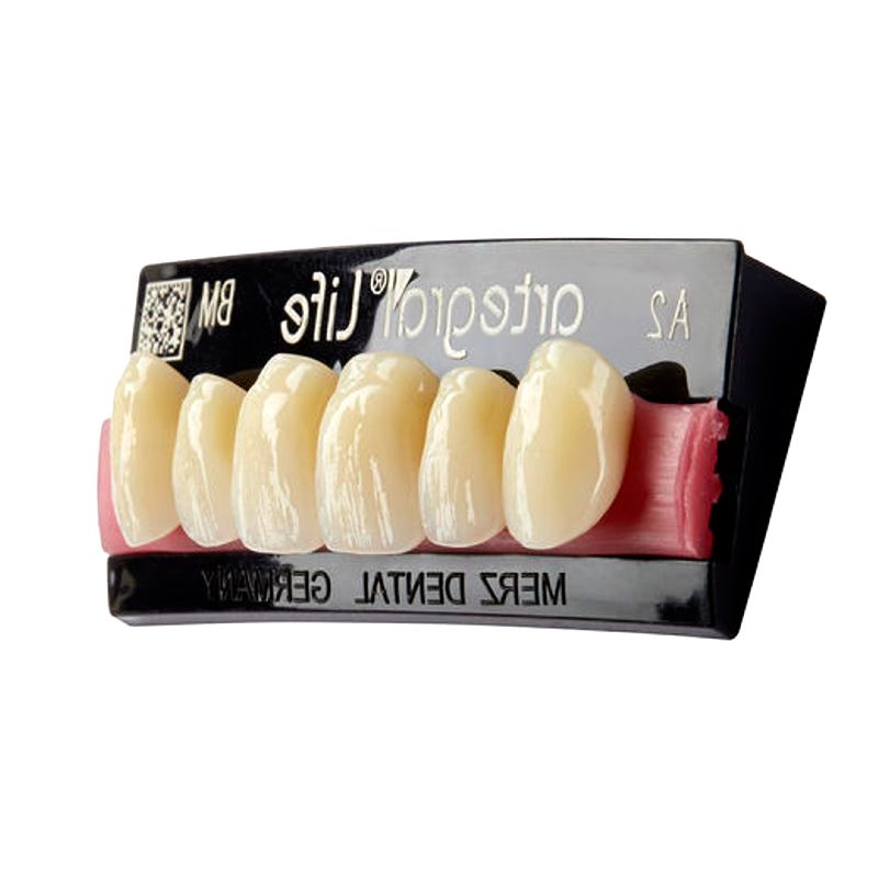 Durable Zirconia Dental Prosthesis Sale or Rent Near Me – Goldstar ...