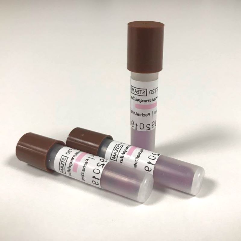 Durable Sterilization Biological Indicator Sale or Rent Near Me ...