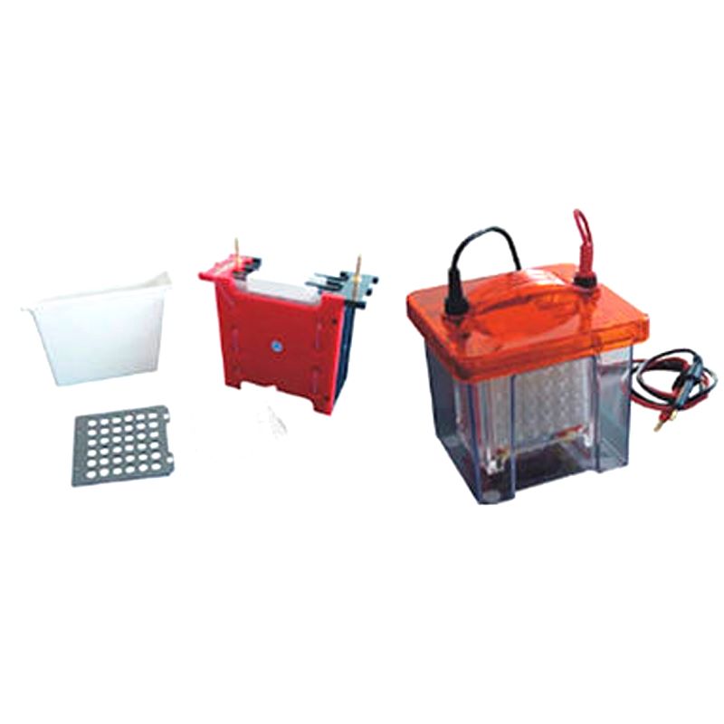 Durable Vertical Electrophoresis Tank Sale or Rent Near Me – Goldstar ...