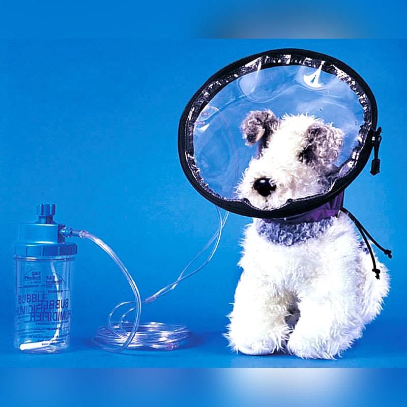 Durable Veterinary Oxygen Hood Sale or Rent Near Me – Goldstar Medical ...
