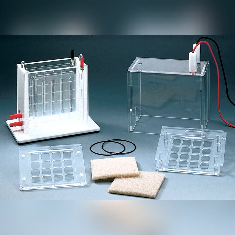 Durable Western Blotting Tank Sale or Rent Near Me – Goldstar Medical ...